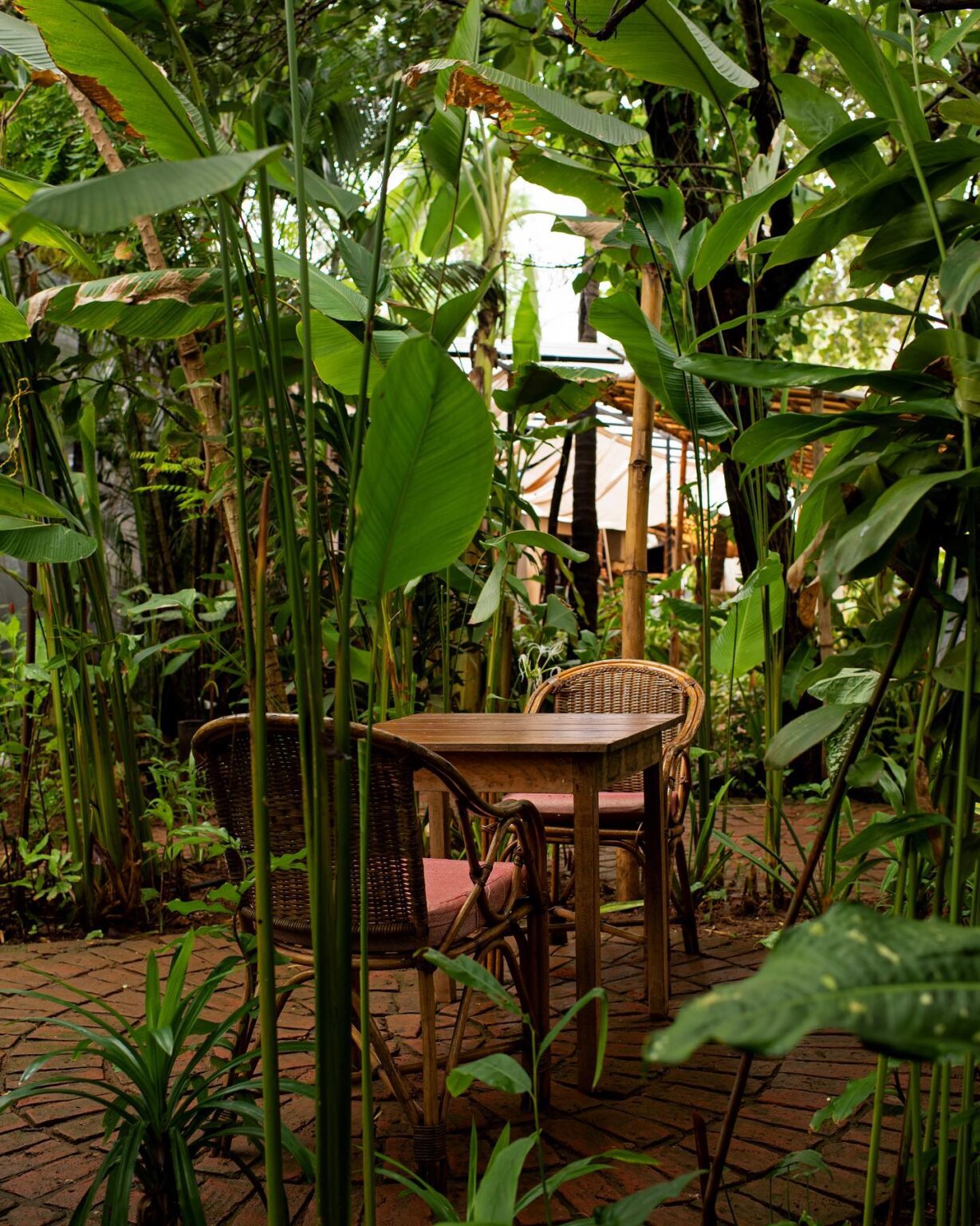 17 Best Cafes In Goa For Unforgettable Experiences