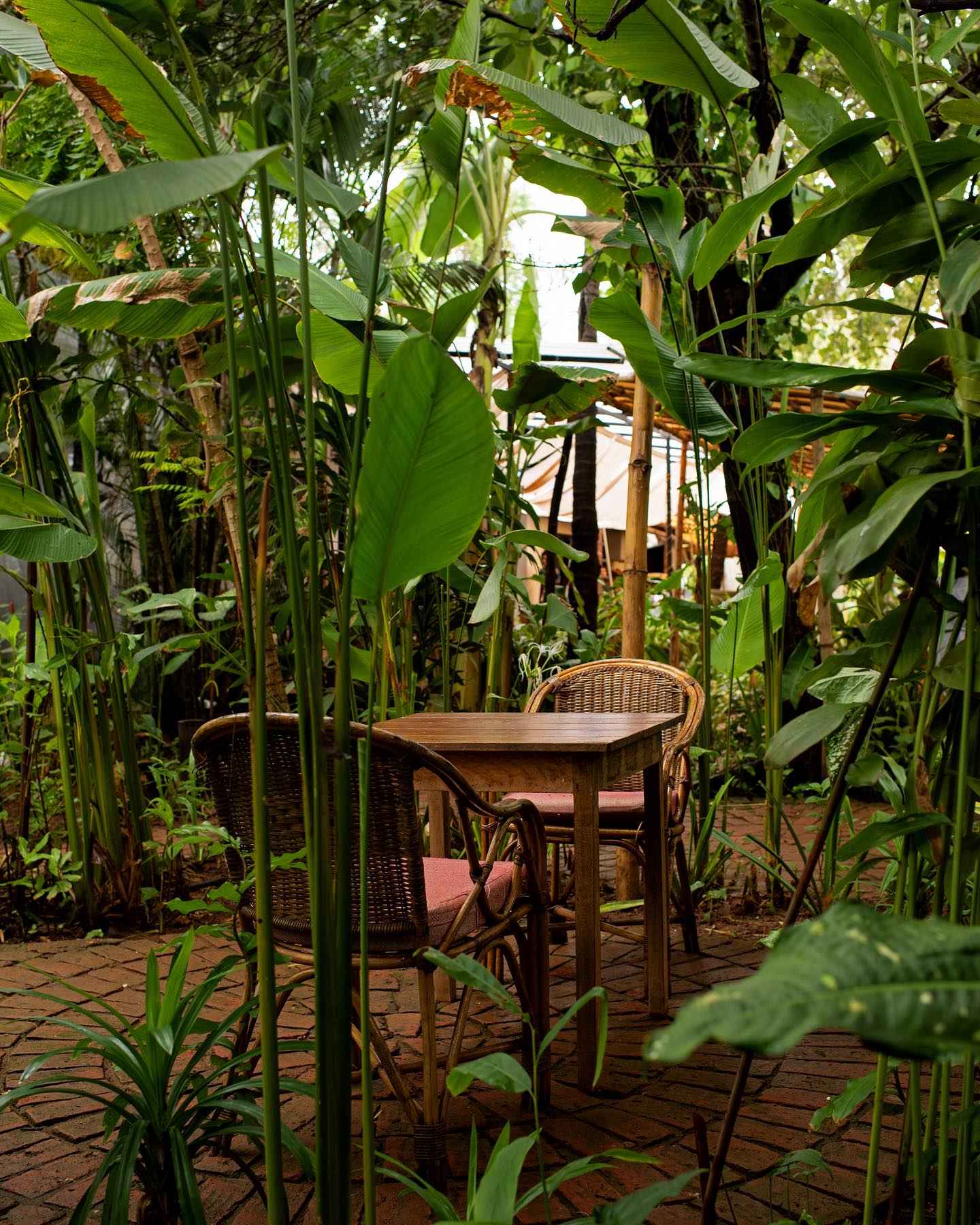 17 Best Cafes In Goa For Unforgettable Experiences