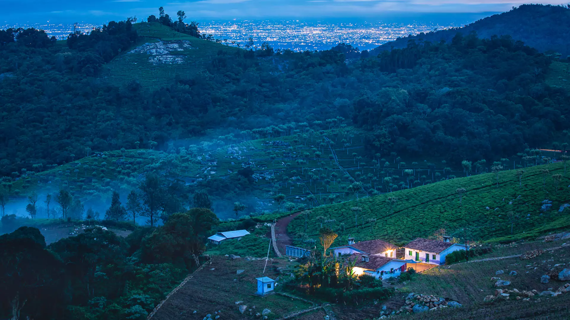 Nilgiri Hills: A Detailed Guide to India's Blue Mountains